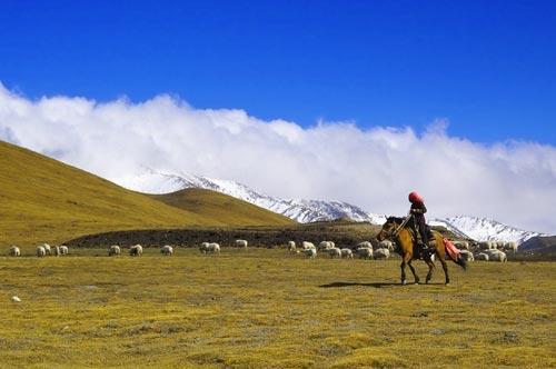 Qilian Mountain Grassland 祁连山草原 - Qinghai, Gansu
